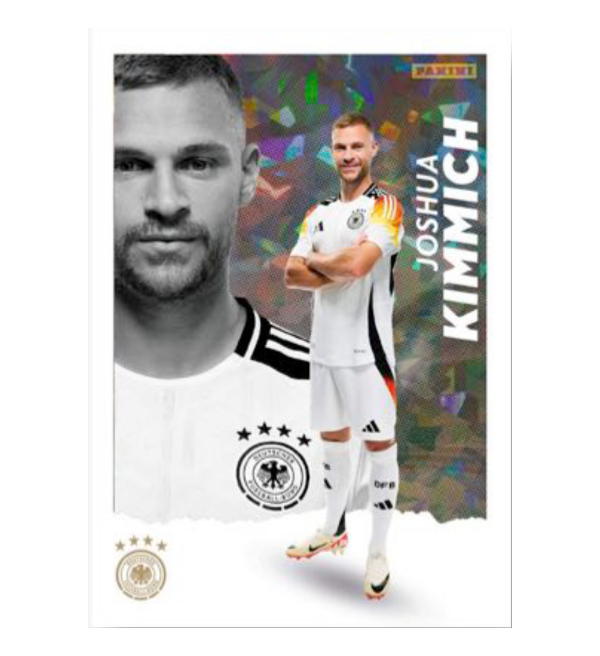 Panini DFB Team-Set 2024 Trading Cards - Box, Stickerpoint